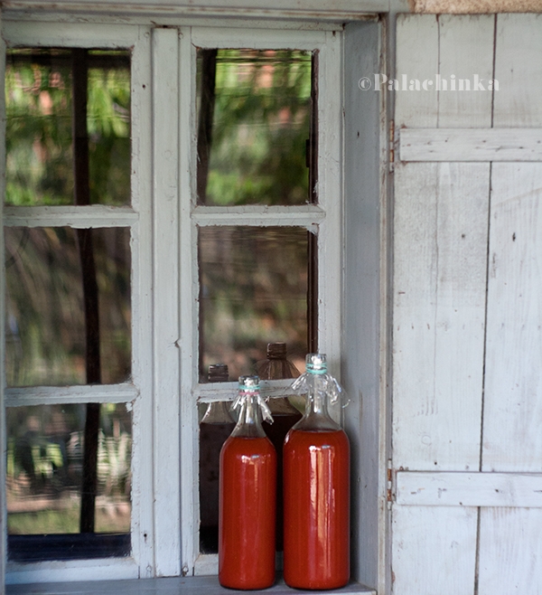 Homemade Tomato Sauce – Palachinka